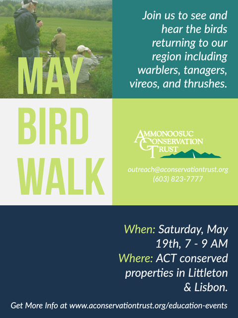 ACT’s Spring Bird Walk | The Landaff Ledger