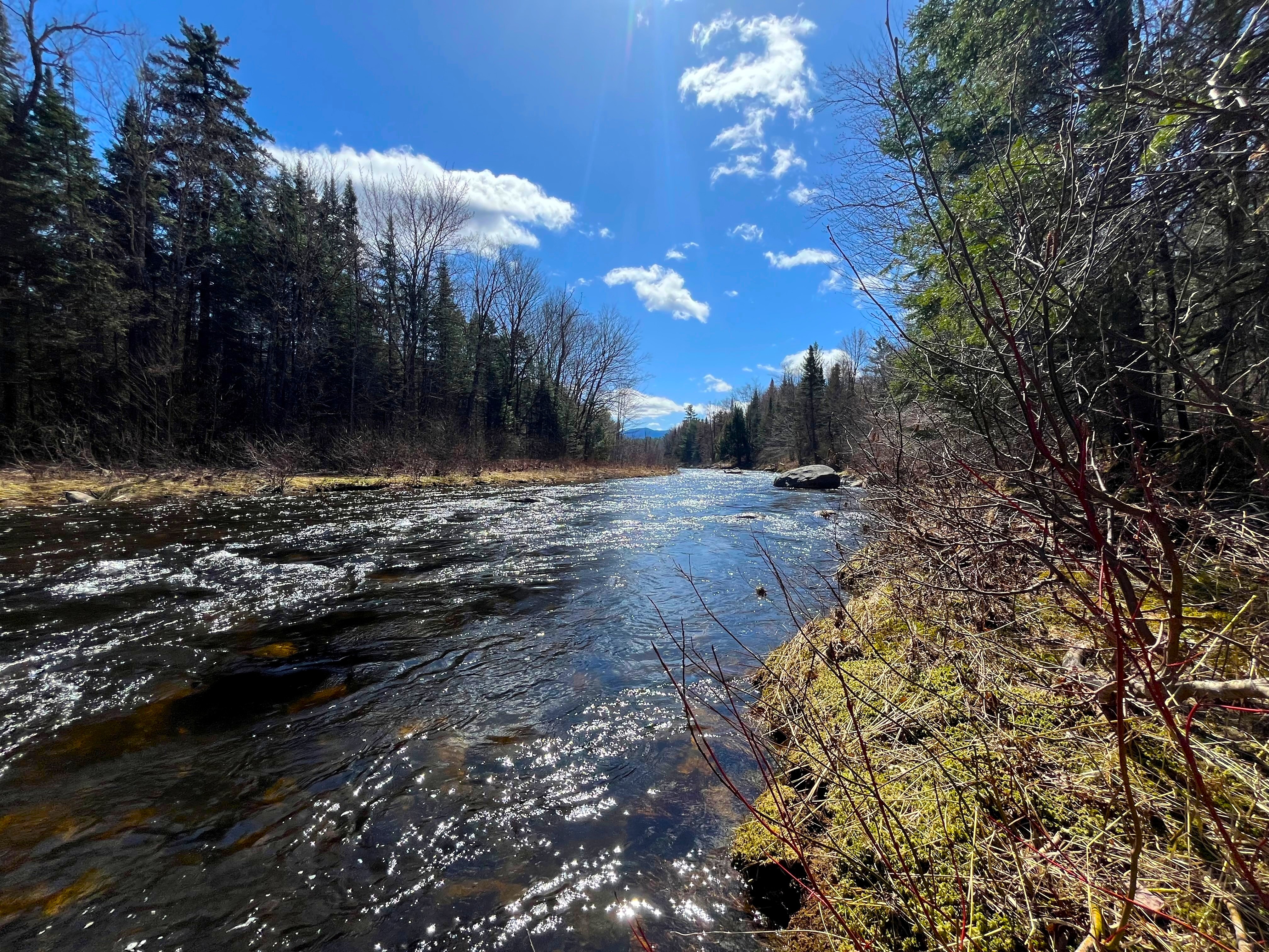 Ammonoosuc Riverlands | The Landaff Ledger